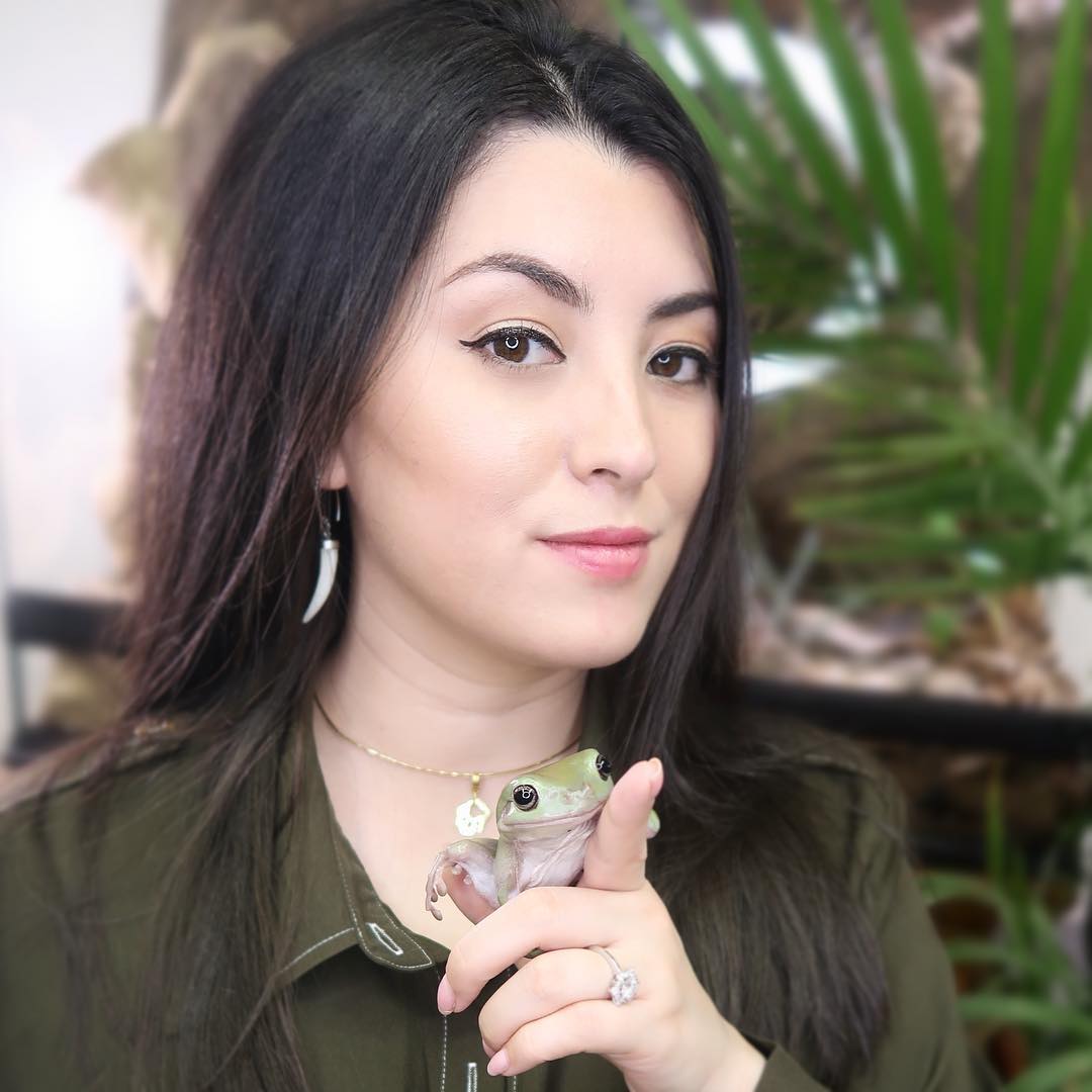 Vloggers - Vision Products