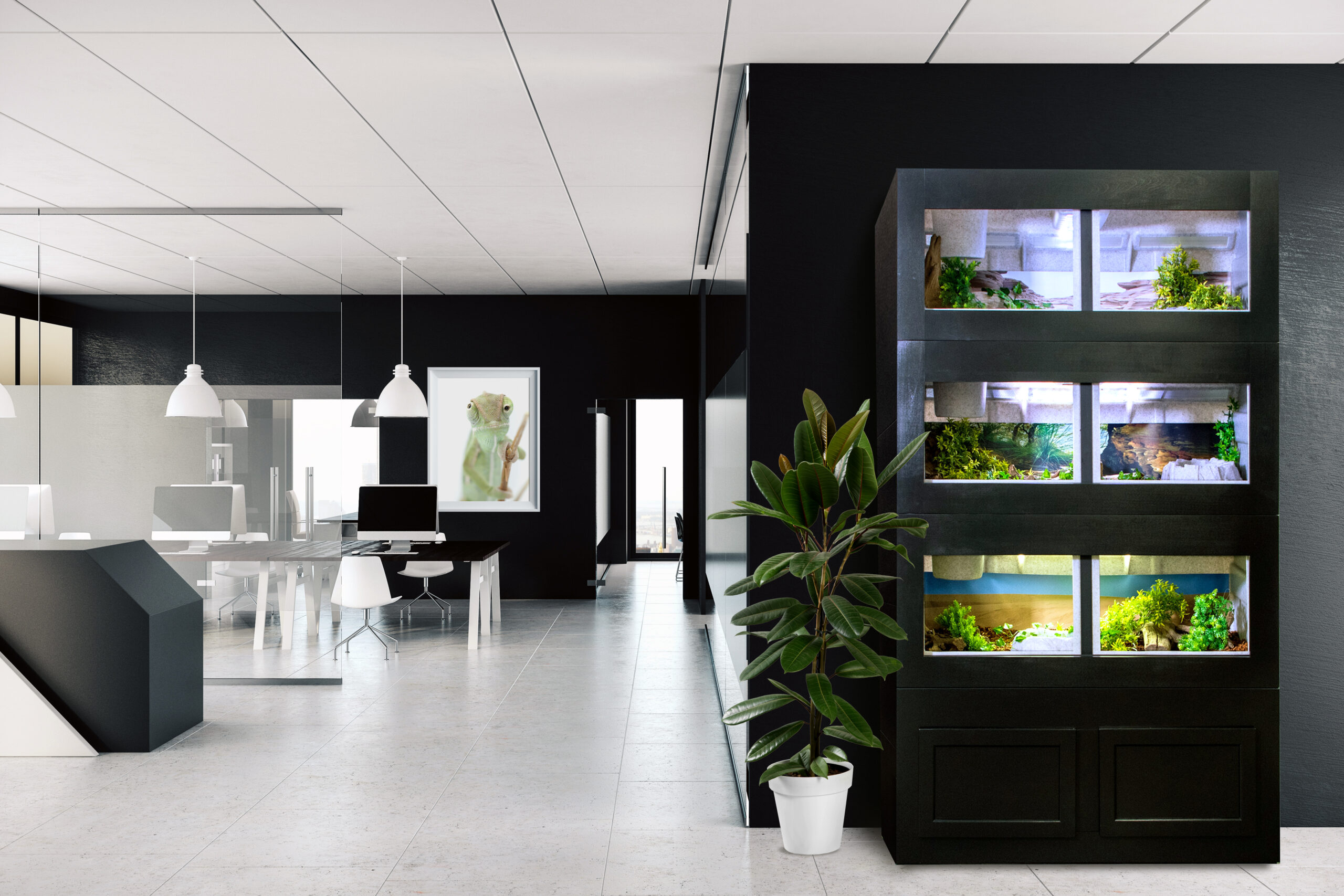 Model 422 Wood Cage Rack - Vision Products