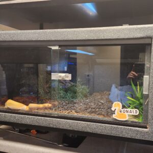 Vision Cages - Vision Products