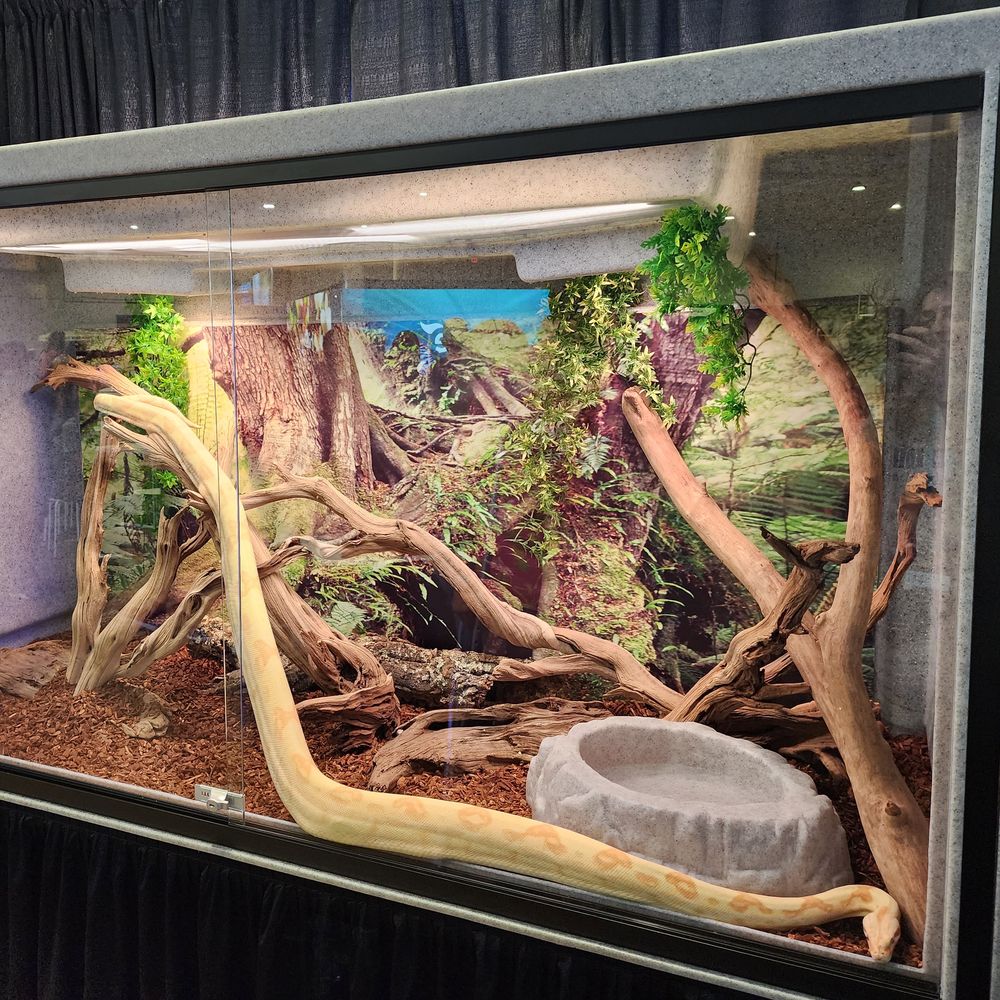 Vision Cages - Vision Products