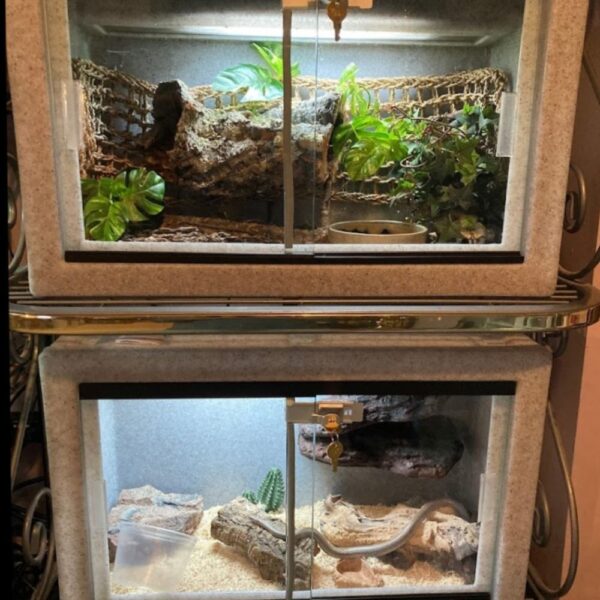 Vision Cages - Vision Products