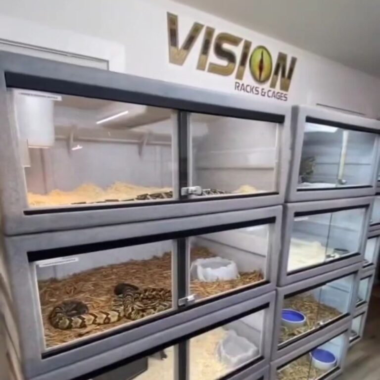 Vision Cages - Vision Products