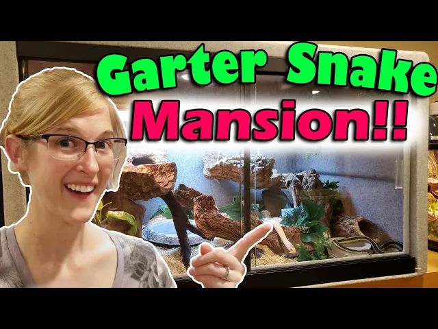 Vision Cages - Vision Products