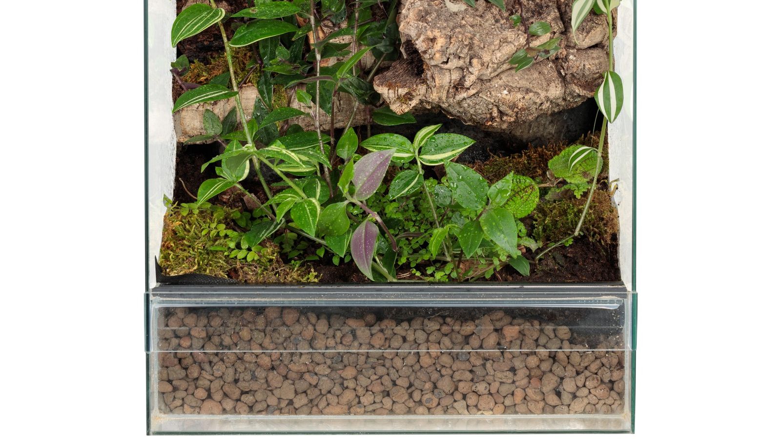 Reptile Enclosure Materials - What's the Best Material for You ...