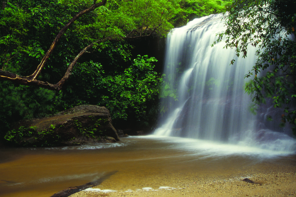 Aviary Leasing - Serenity Aviary & Aquarium Services