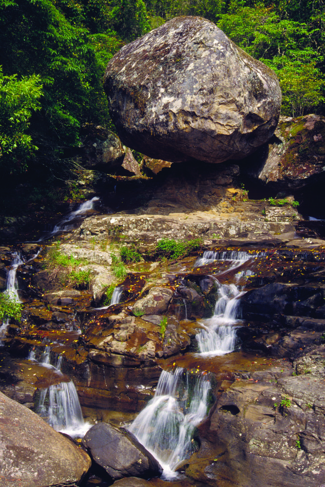 Aviary Leasing - Serenity Aviary & Aquarium Services