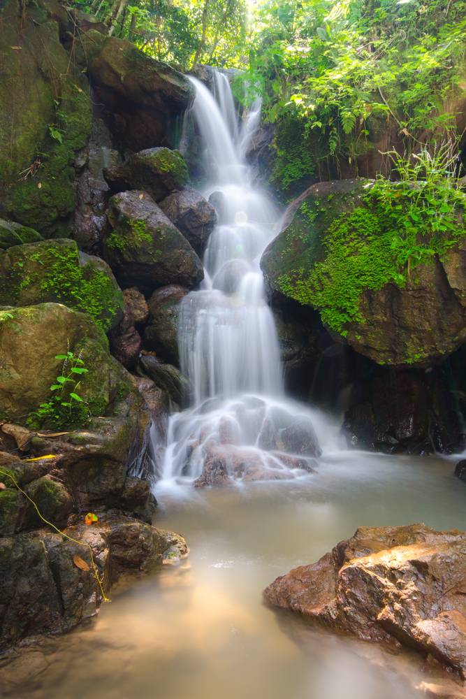 Aviary Leasing - Serenity Aviary & Aquarium Services